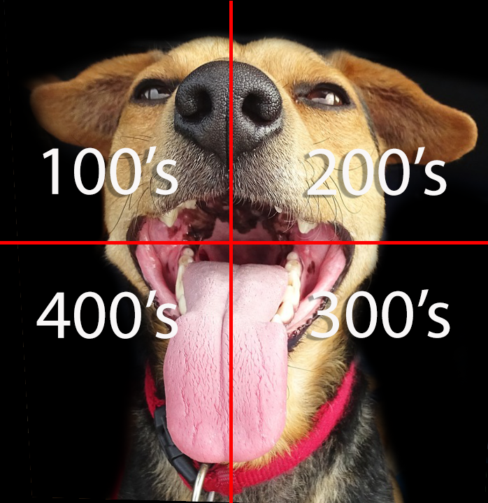 Modified Triadan System and Dental Formulas- OSU CVM Veterinary ...